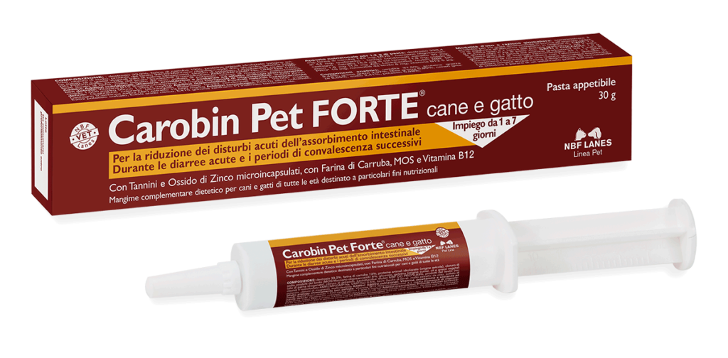 Test QR calendario • NutraPet.vet